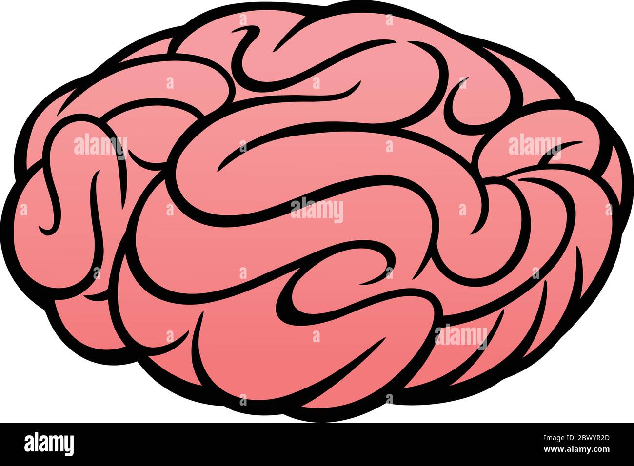 Brain part cortex Stock Vector Images - Alamy