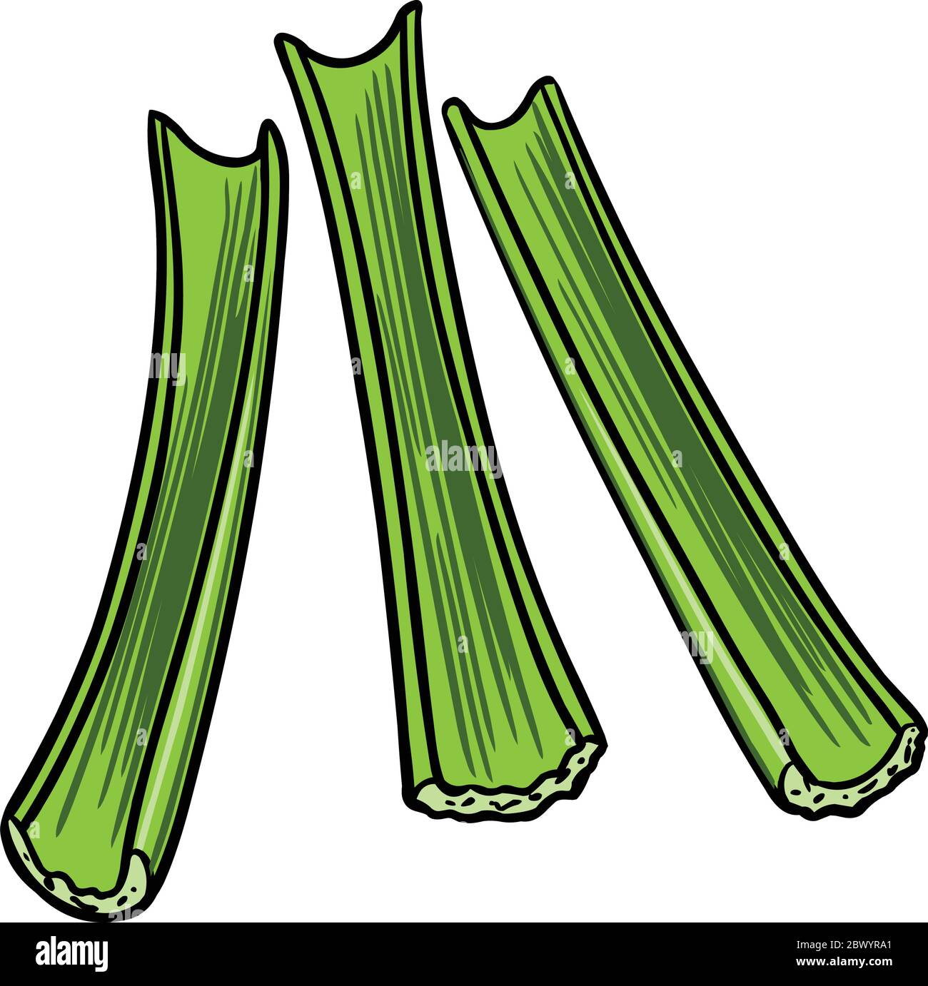 Celery Sticks- An Illustration of Celery Sticks Stock Vector Image ...