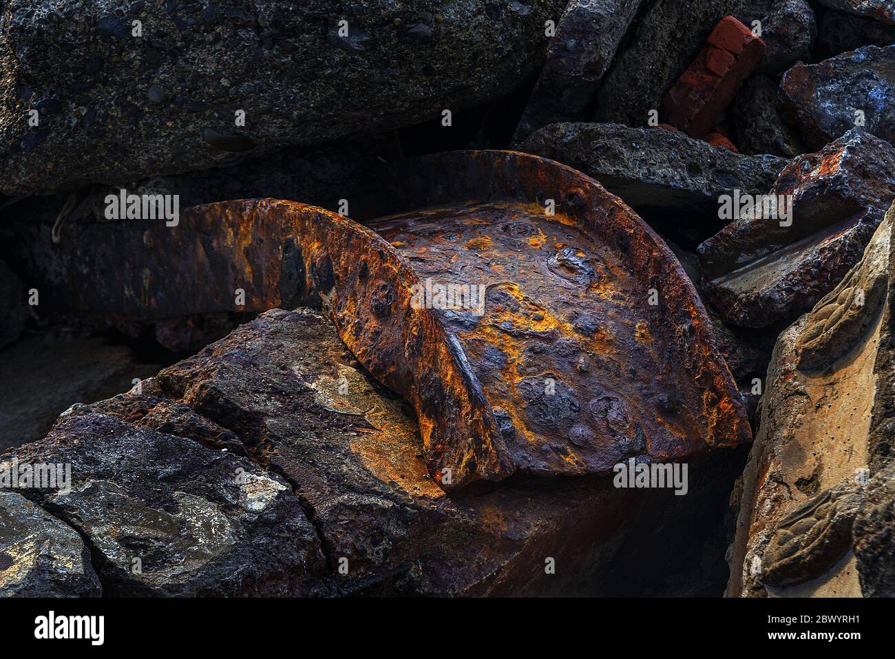 Organic structure hi-res stock photography and images - Alamy