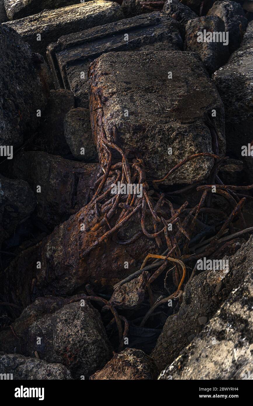 Organic structure hi-res stock photography and images - Alamy