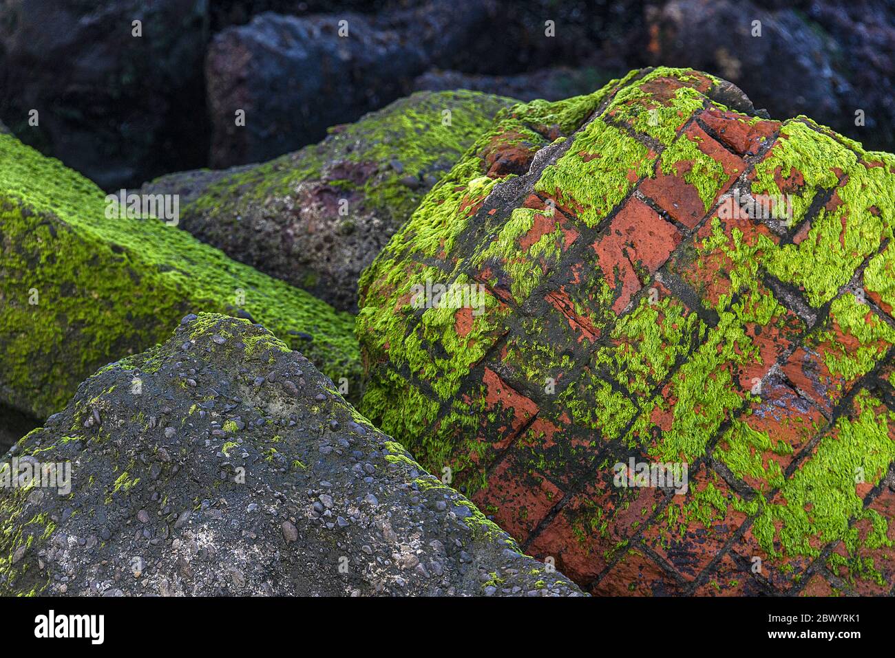 Urban decay. Metal, stone, bricks and wood turning into organic ...