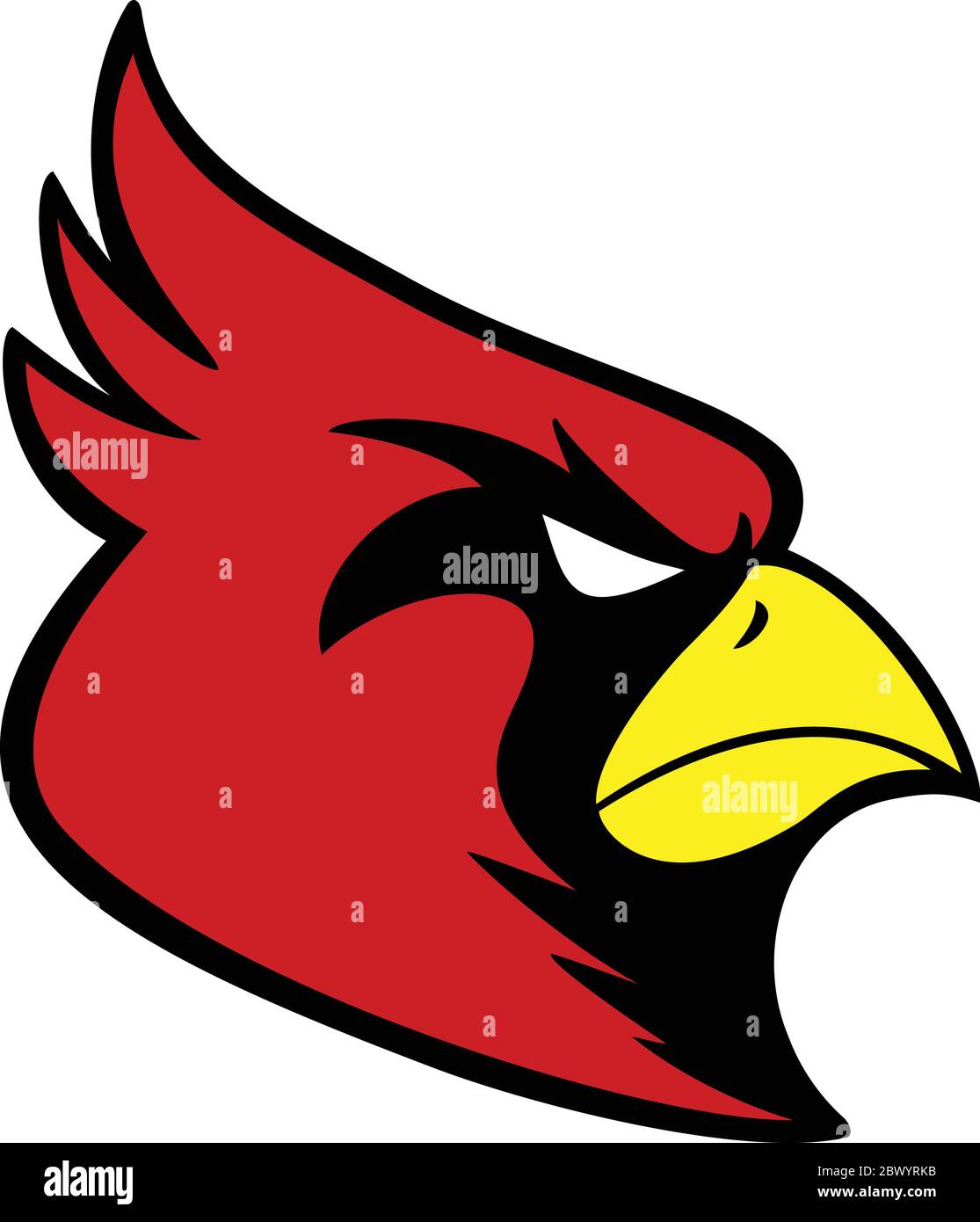 Cardinal Sports Mascot- An Illustration of a Cardinal Sports Mascot ...