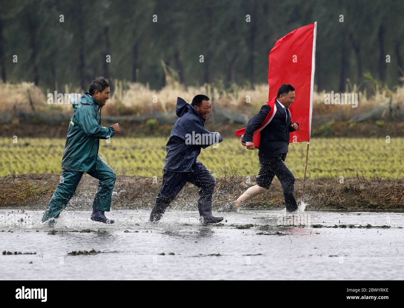 Throwing plant on water hi-res stock photography and images - Alamy