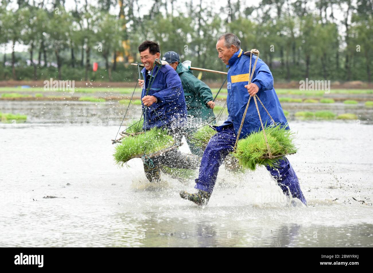 Throwing plant on water hi-res stock photography and images - Alamy