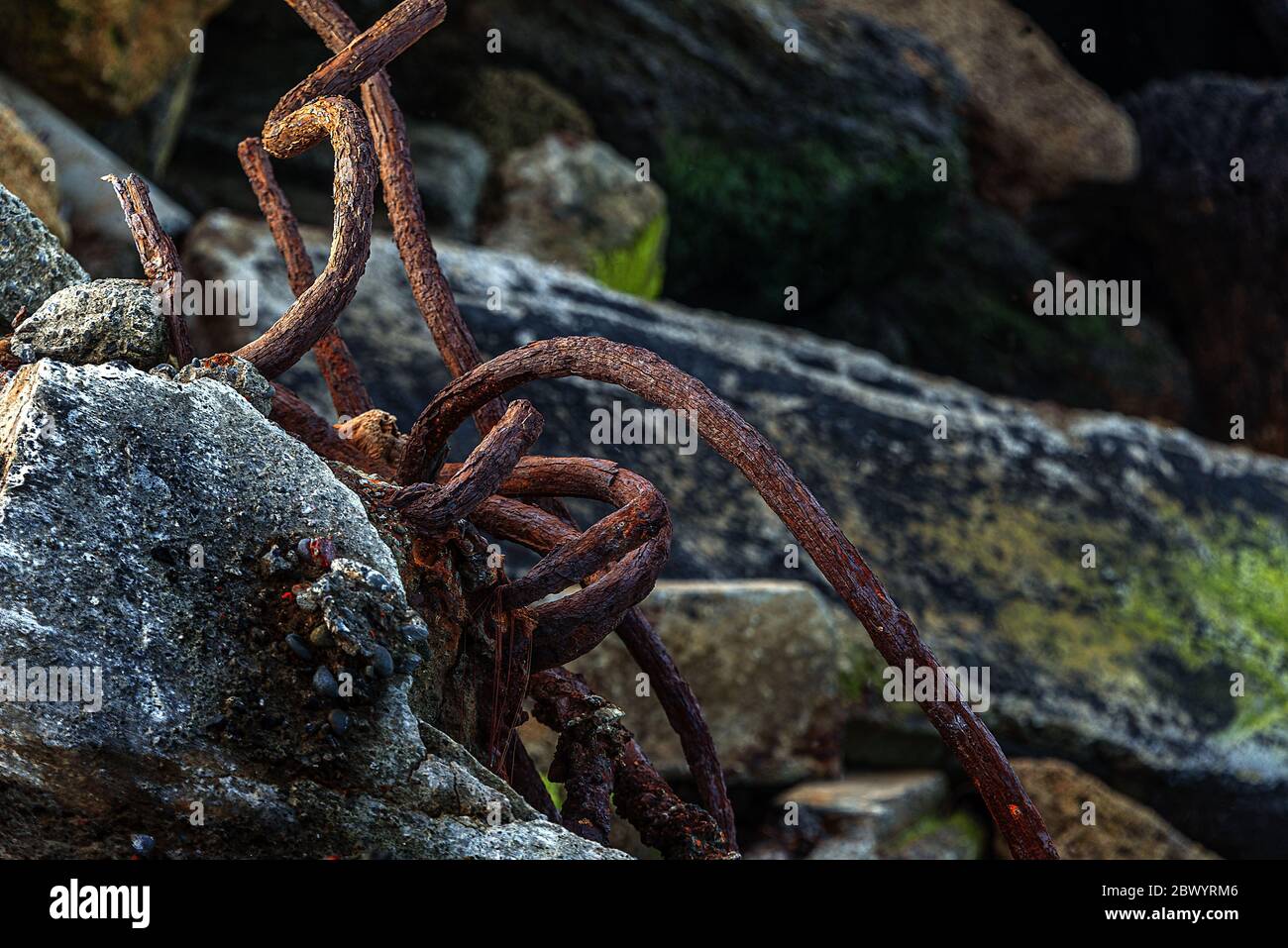 Urban decay. Metal, stone, bricks and wood turning into organic ...
