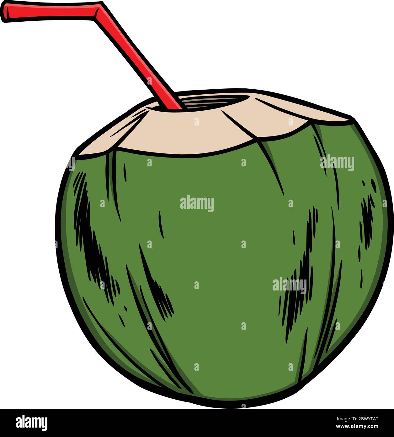 Coconut Water - A cartoon illustration of Coconut Water Stock Vector ...