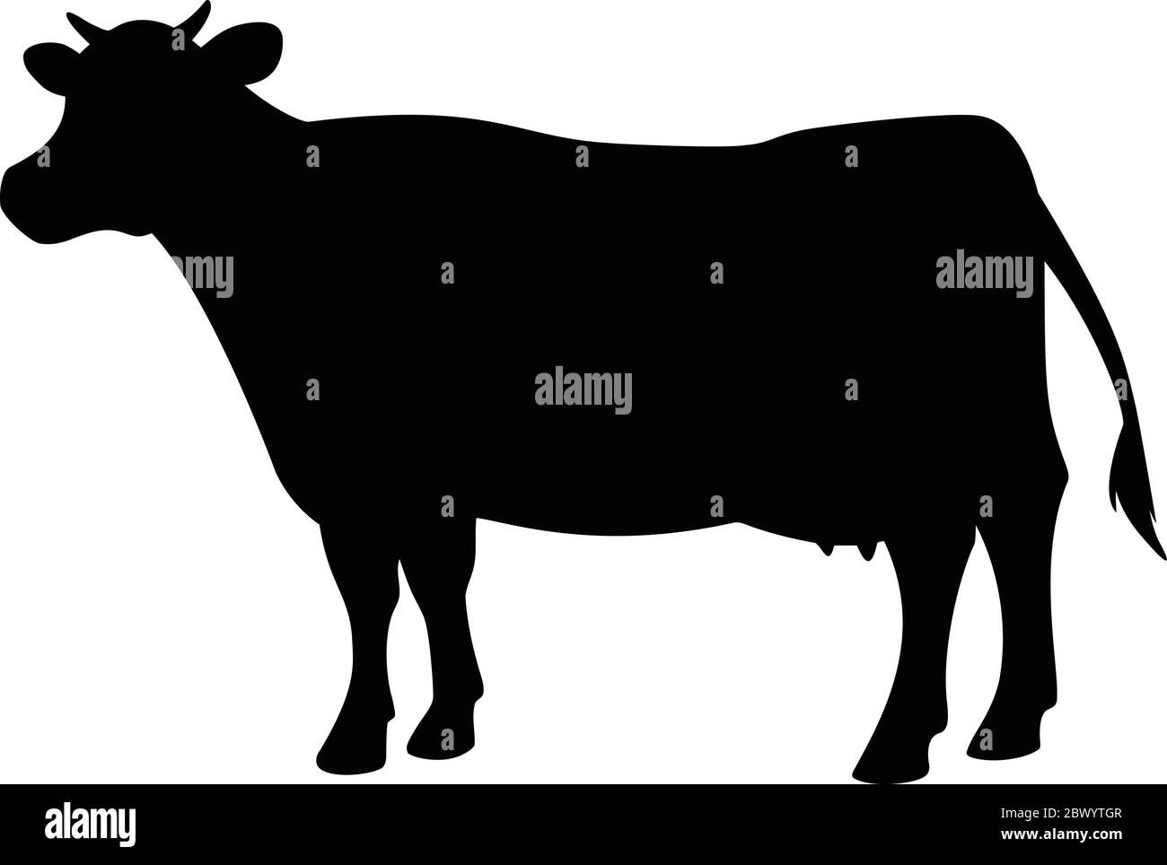 Cow livestock animal illustration Black and White Stock Photos & Images ...