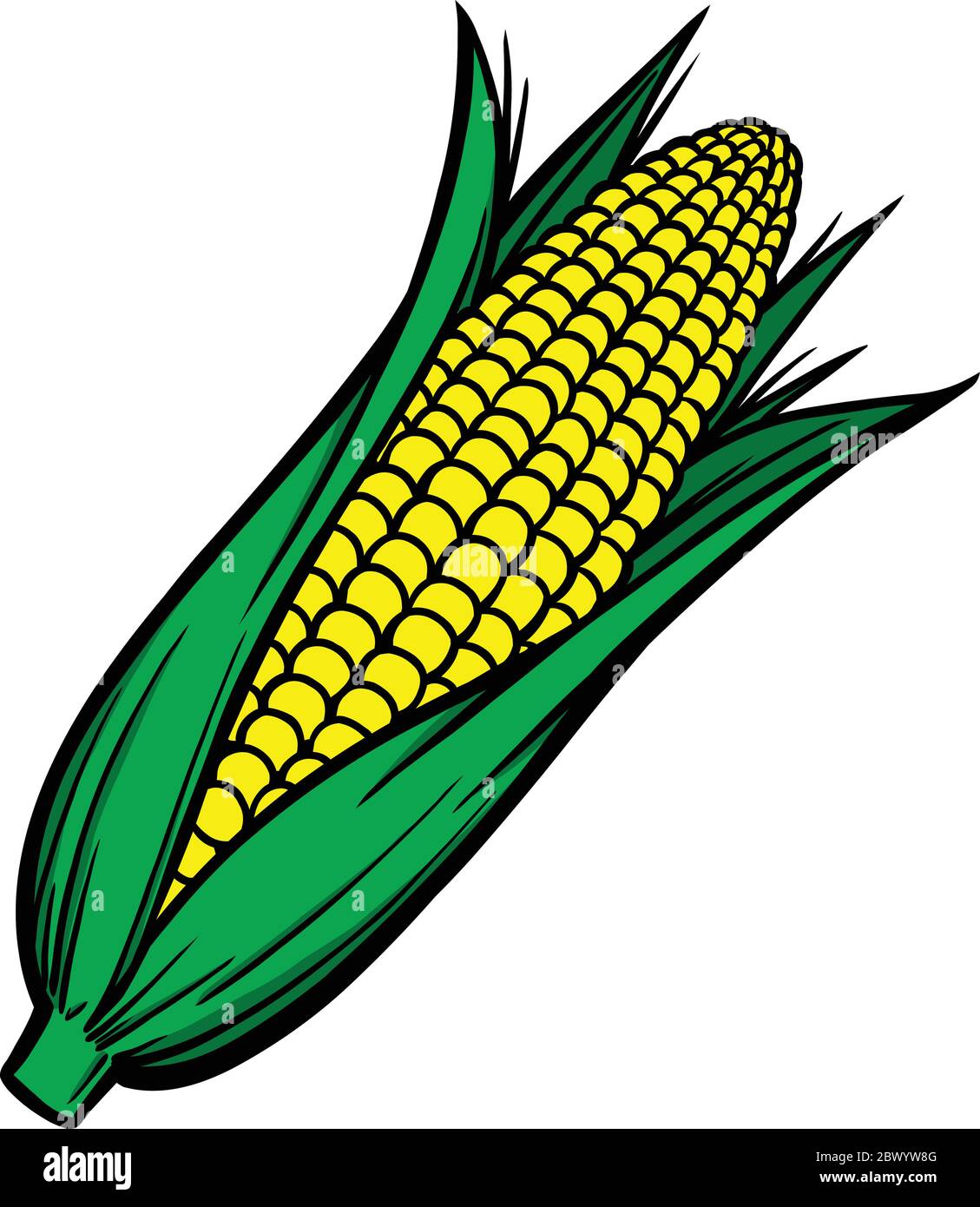 Corn on the Cob- An Illustration of Corn on the Cob Stock Vector Image ...