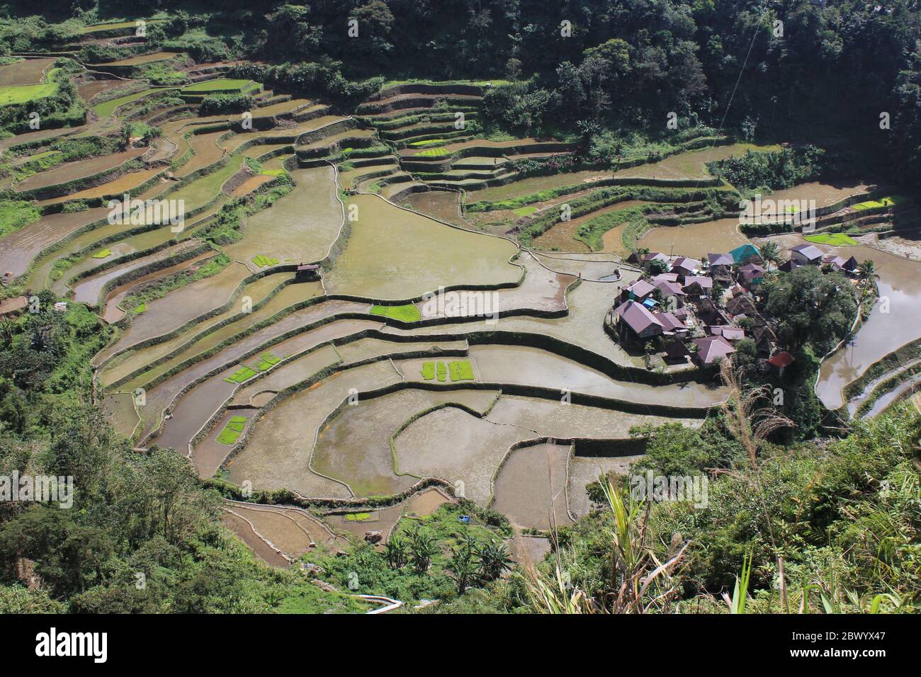 Ifugao Rice House High Resolution Stock Photography and Images - Alamy