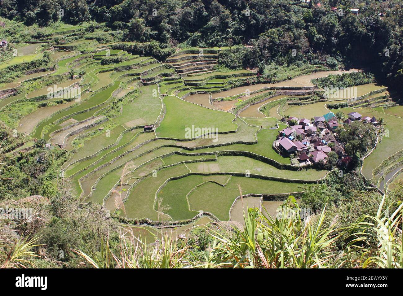 Banga High Resolution Stock Photography and Images - Alamy