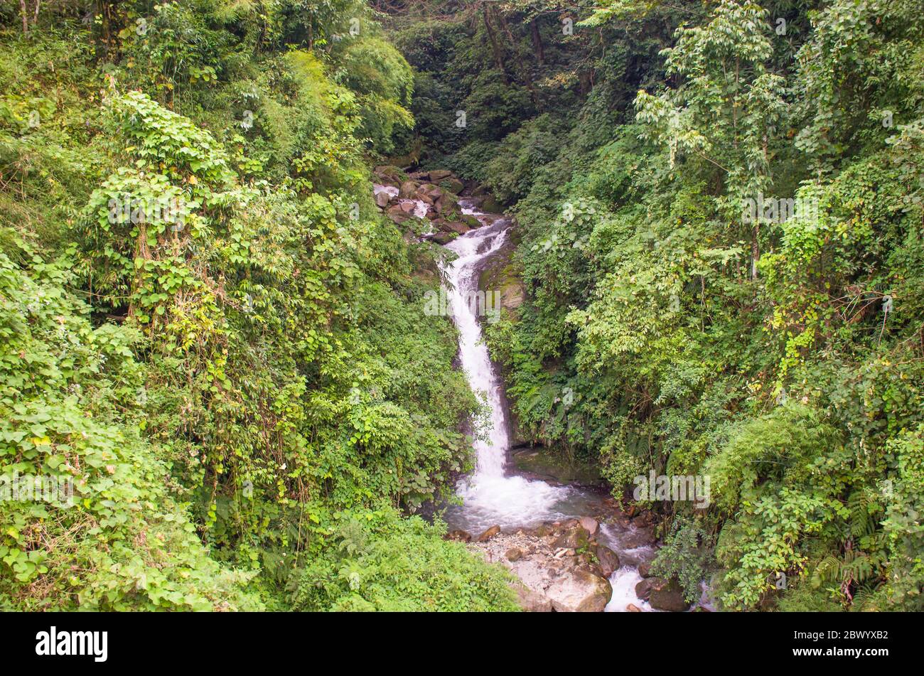 Beautiful tropical landscape of Mount Nepal Himalayas Stock Photo - Alamy