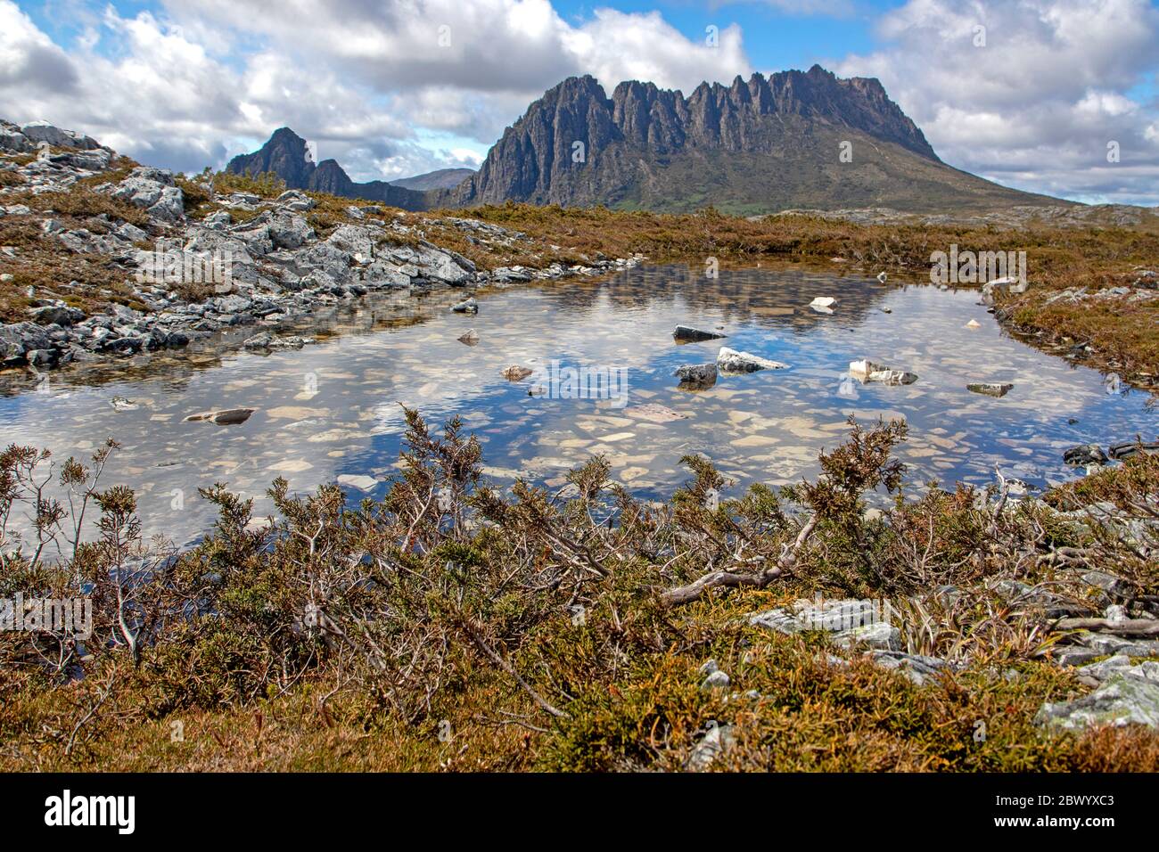 Alpine tarn and Cradle Mountain Stock Photo - Alamy