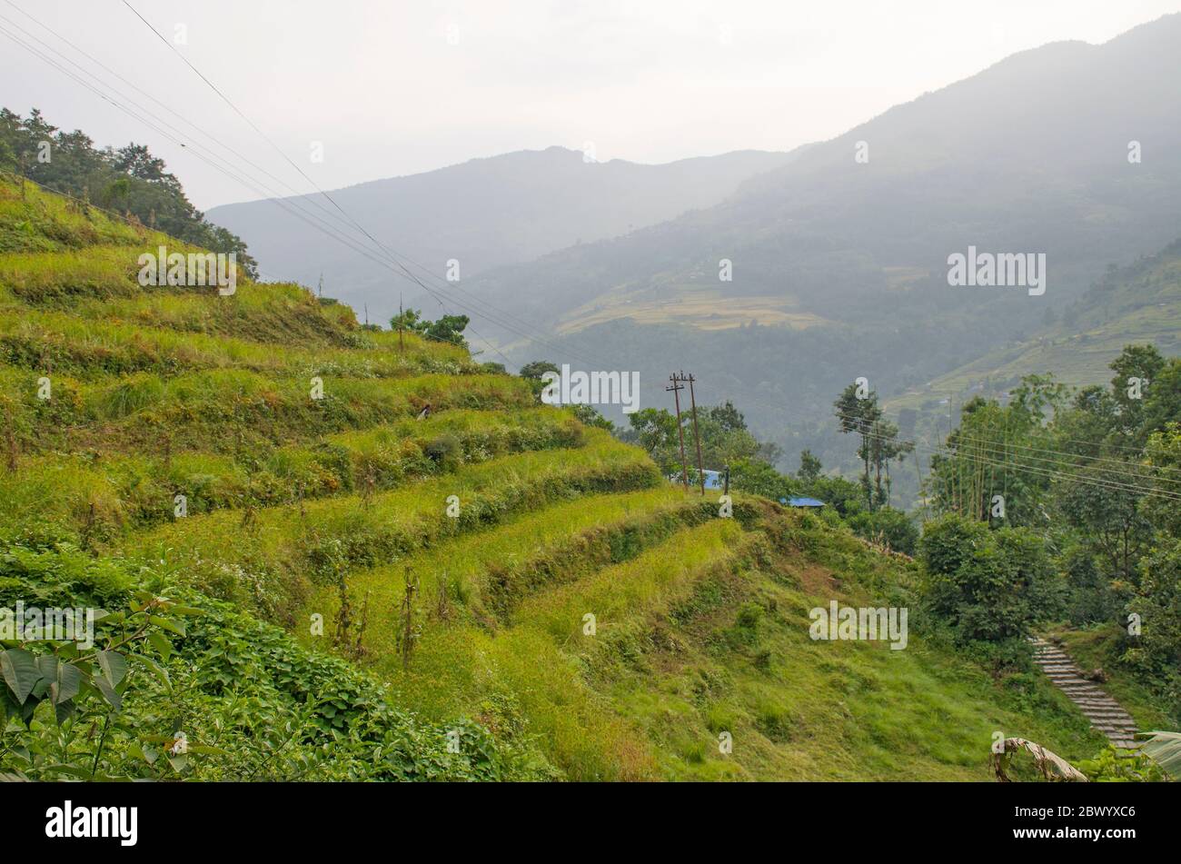 Beautiful tropical landscape of Mount Nepal Himalayas Stock Photo - Alamy