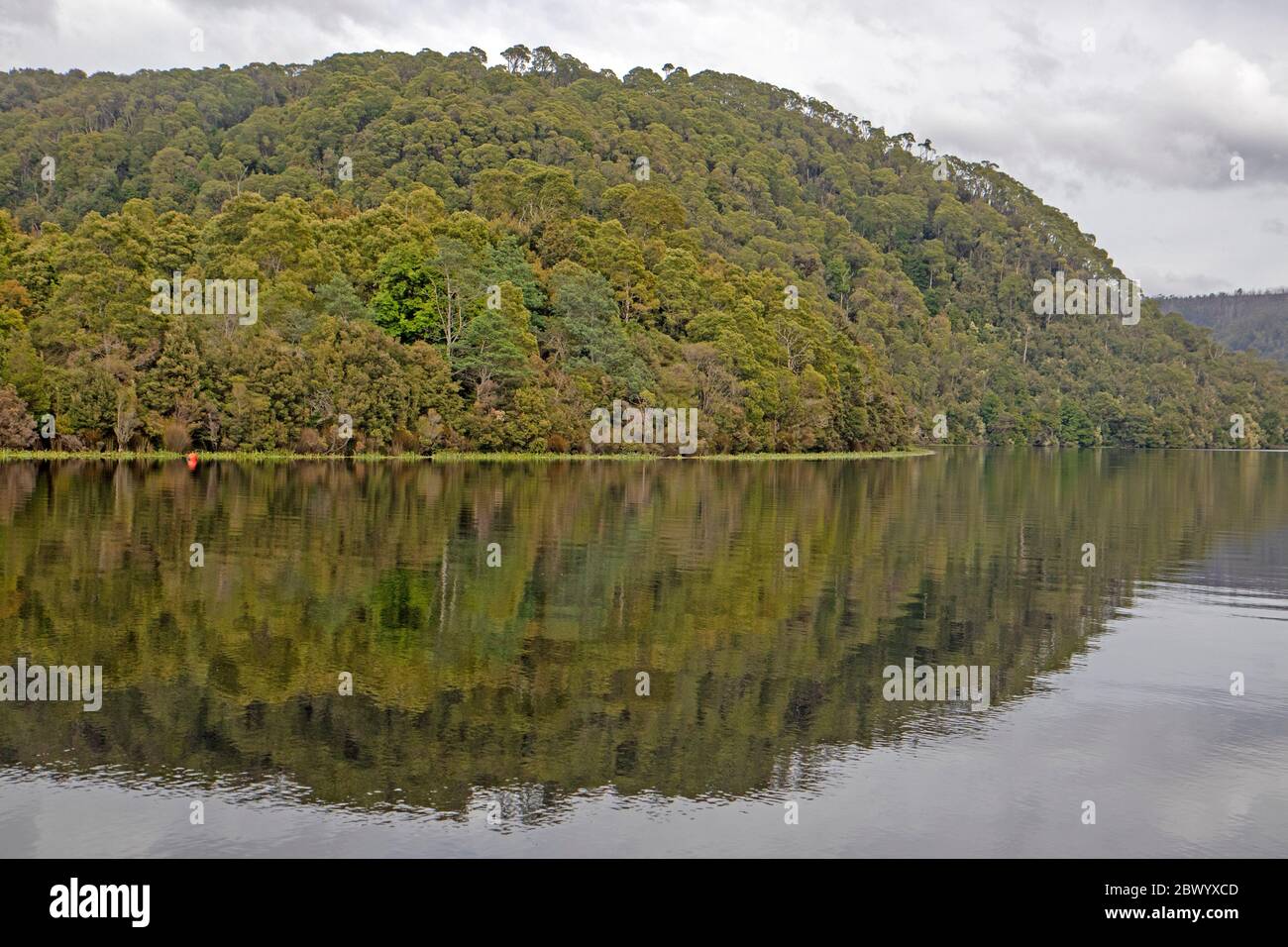 The Pieman River in Tasmania's northwest Stock Photo - Alamy