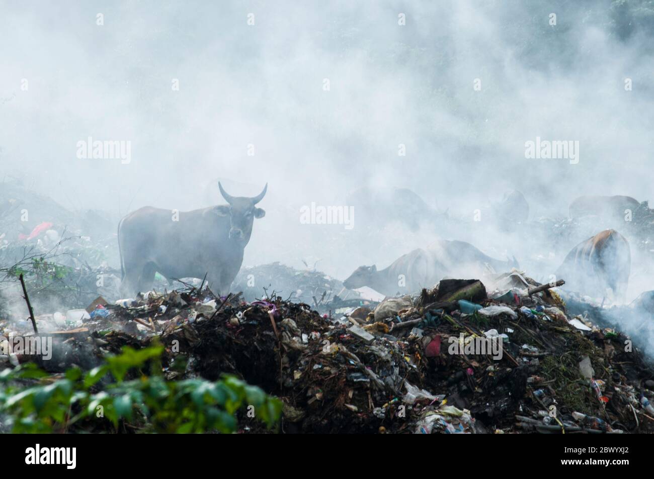 Solid waste disposal hi-res stock photography and images - Alamy