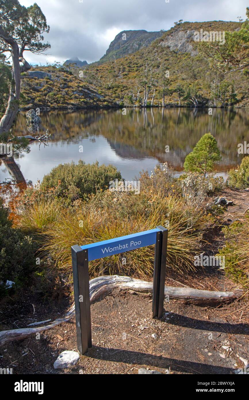 Wombat Pool in Cradle Mountain-Lake St Clair National Park Stock Photo ...