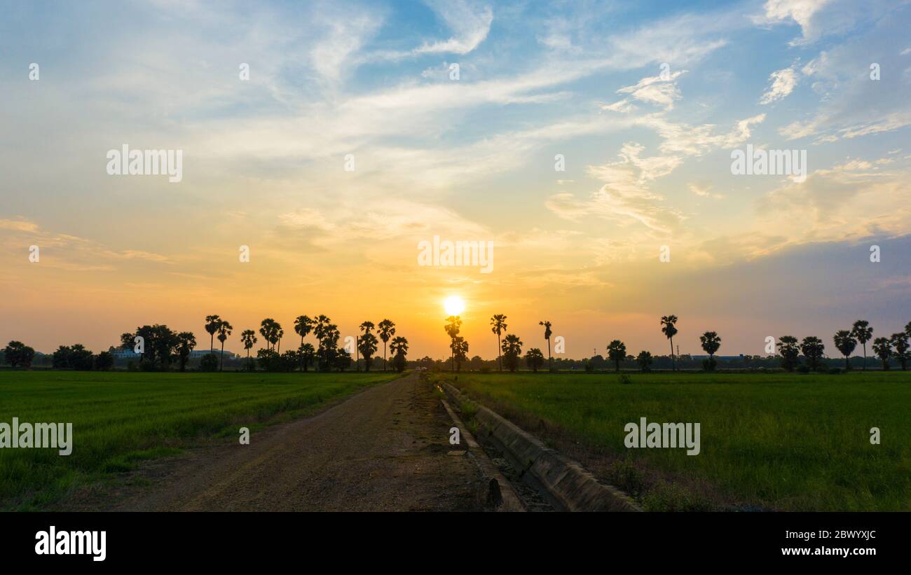 Paddy field scenery hi-res stock photography and images - Alamy