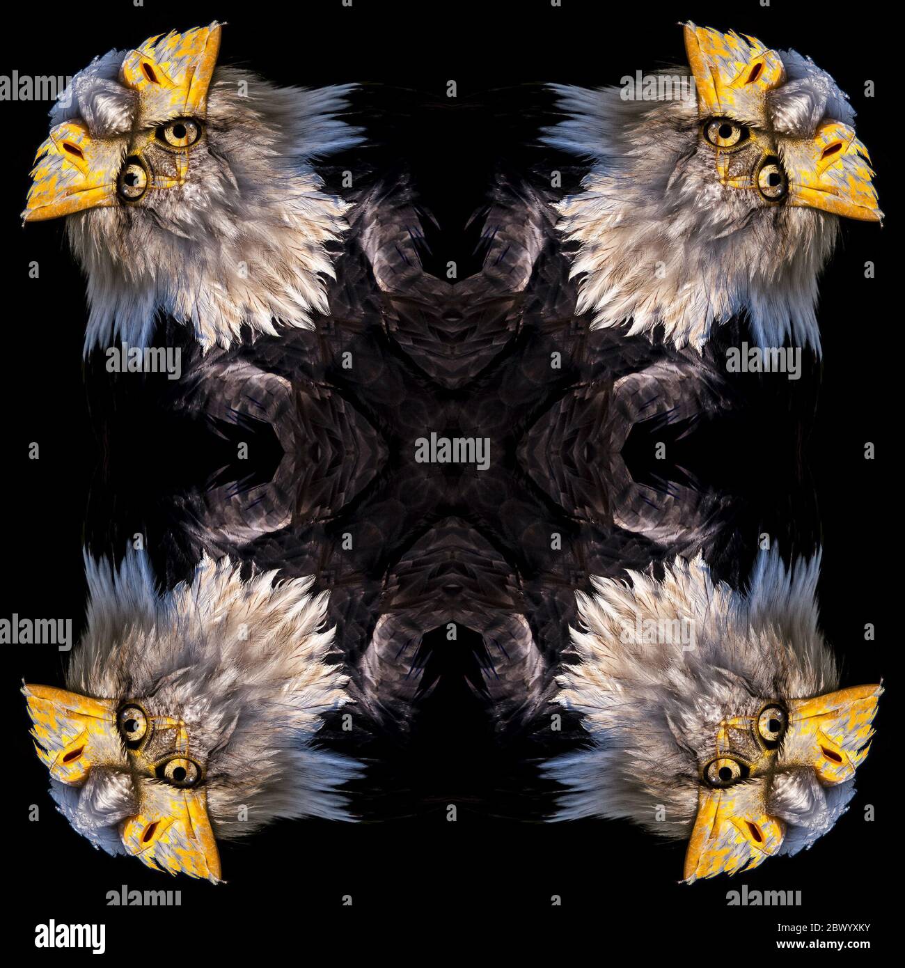 Weird symmetry hi-res stock photography and images - Alamy