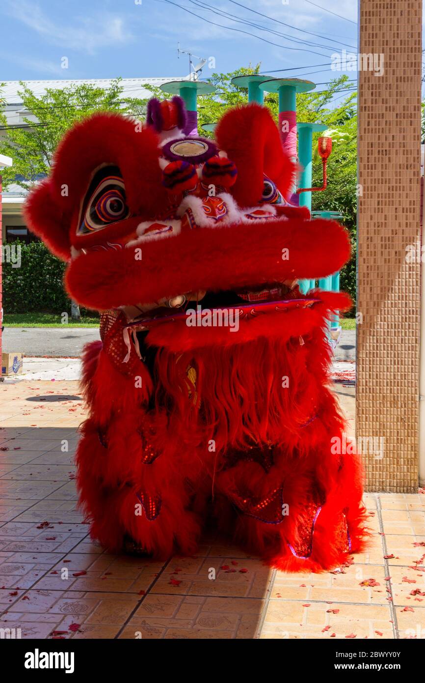 Chinese lion dance performance during Chinese New year festival Stock ...