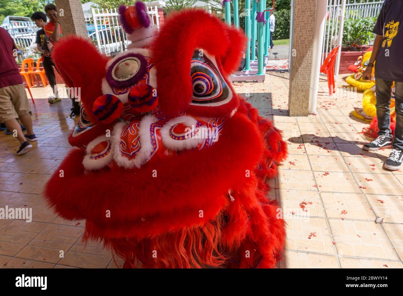 Chinese lion dance performance during Chinese New year festival Stock ...
