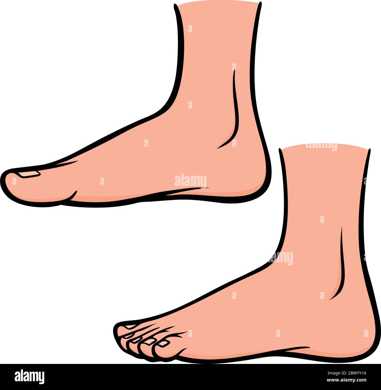 Foot Profiles- An Illustration of Foot Profiles Stock Vector Image ...