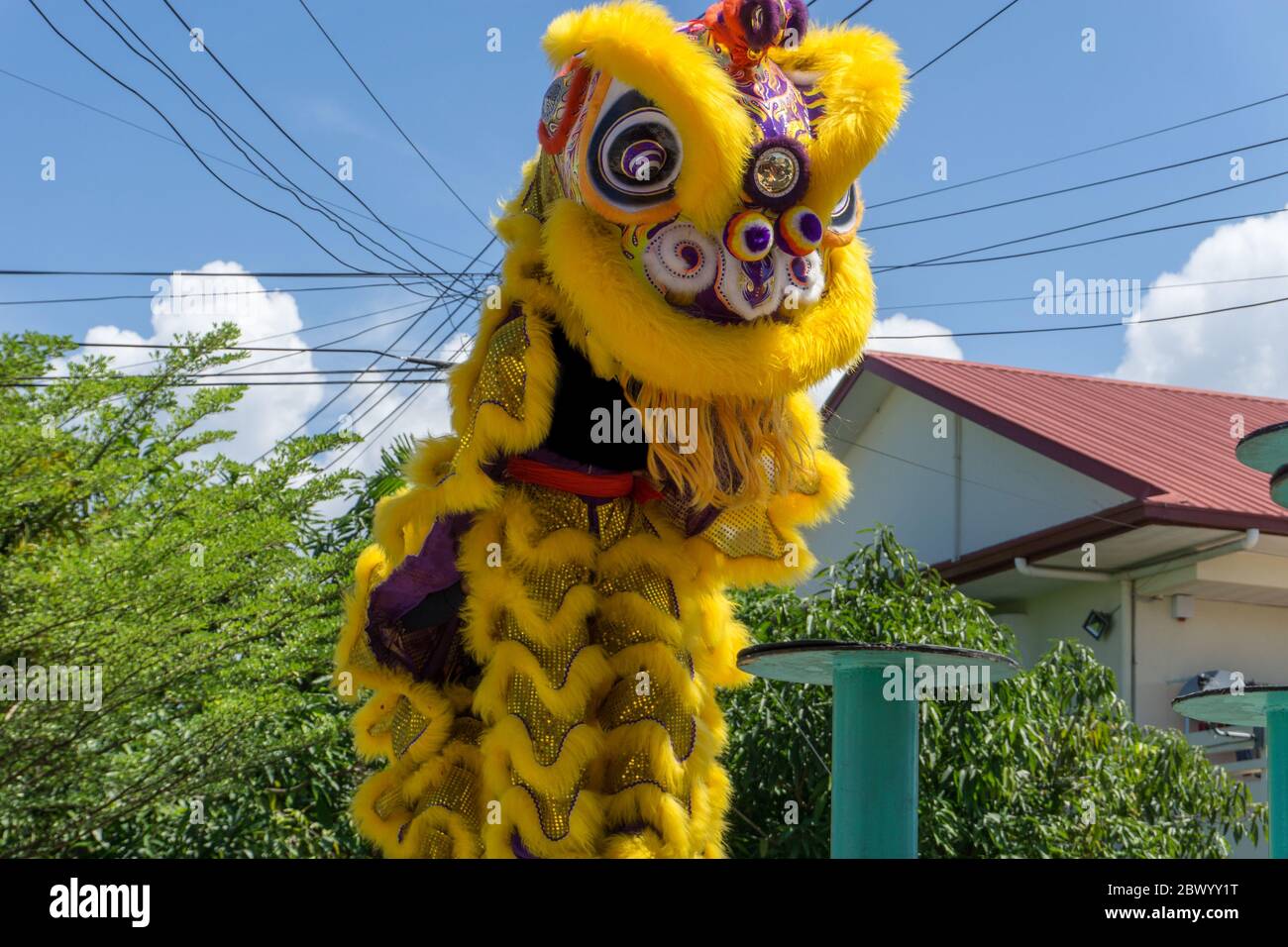 Chinese lion dance performance during Chinese New year festival Stock ...