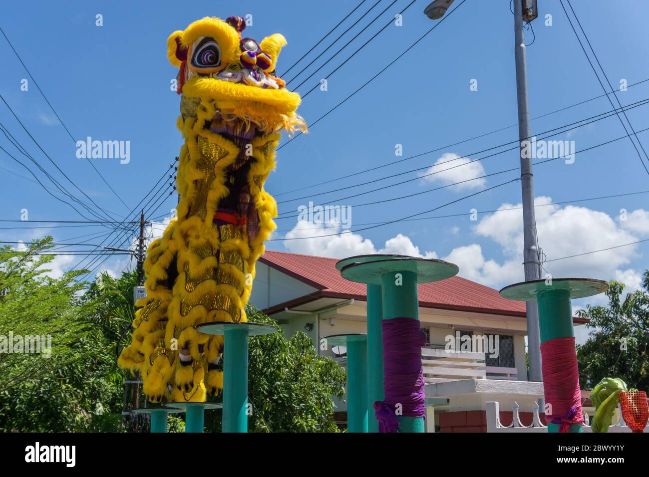 Chinese lion dance performance during Chinese New year festival Stock ...
