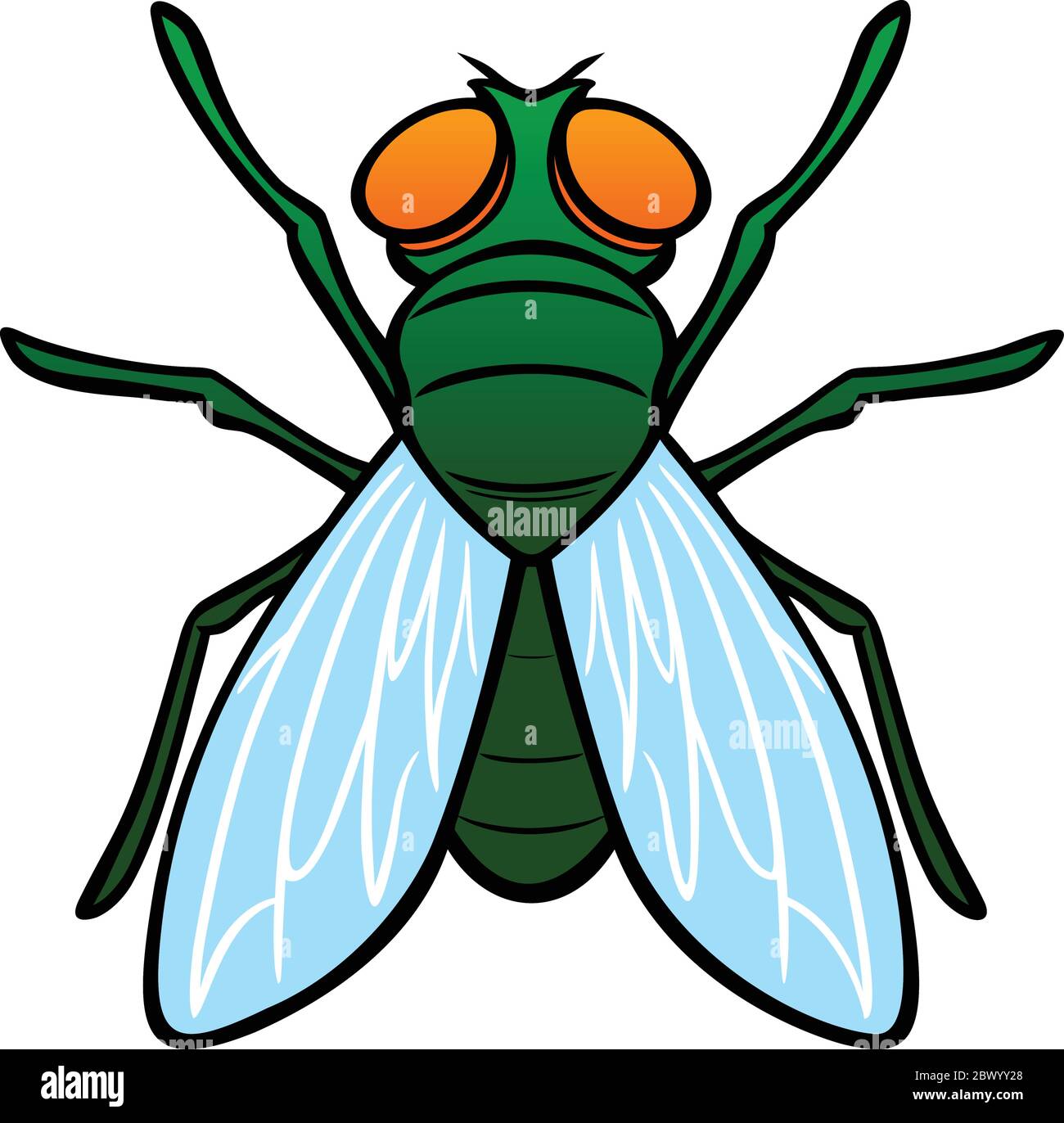 Fly Top View- An Illustration of the Top View of a Fly Stock Vector ...