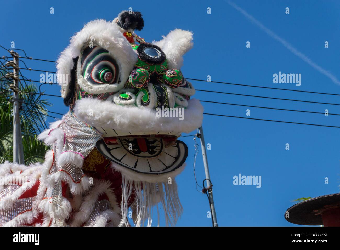 Chinese lion dance performance during Chinese New year festival Stock ...