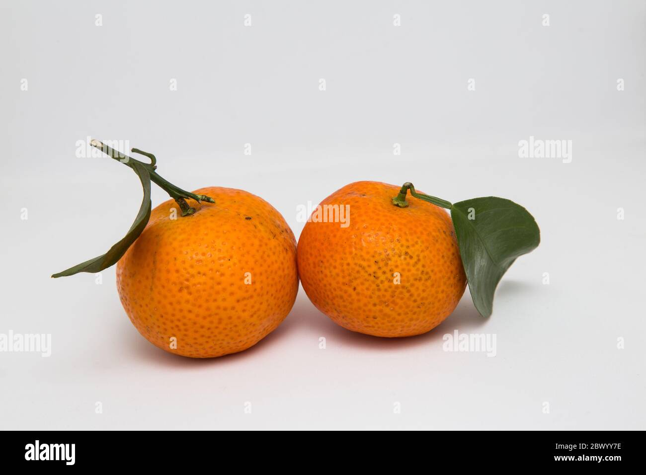 Tangerine and mandarin orange isolated on white , mandarin orange are ...