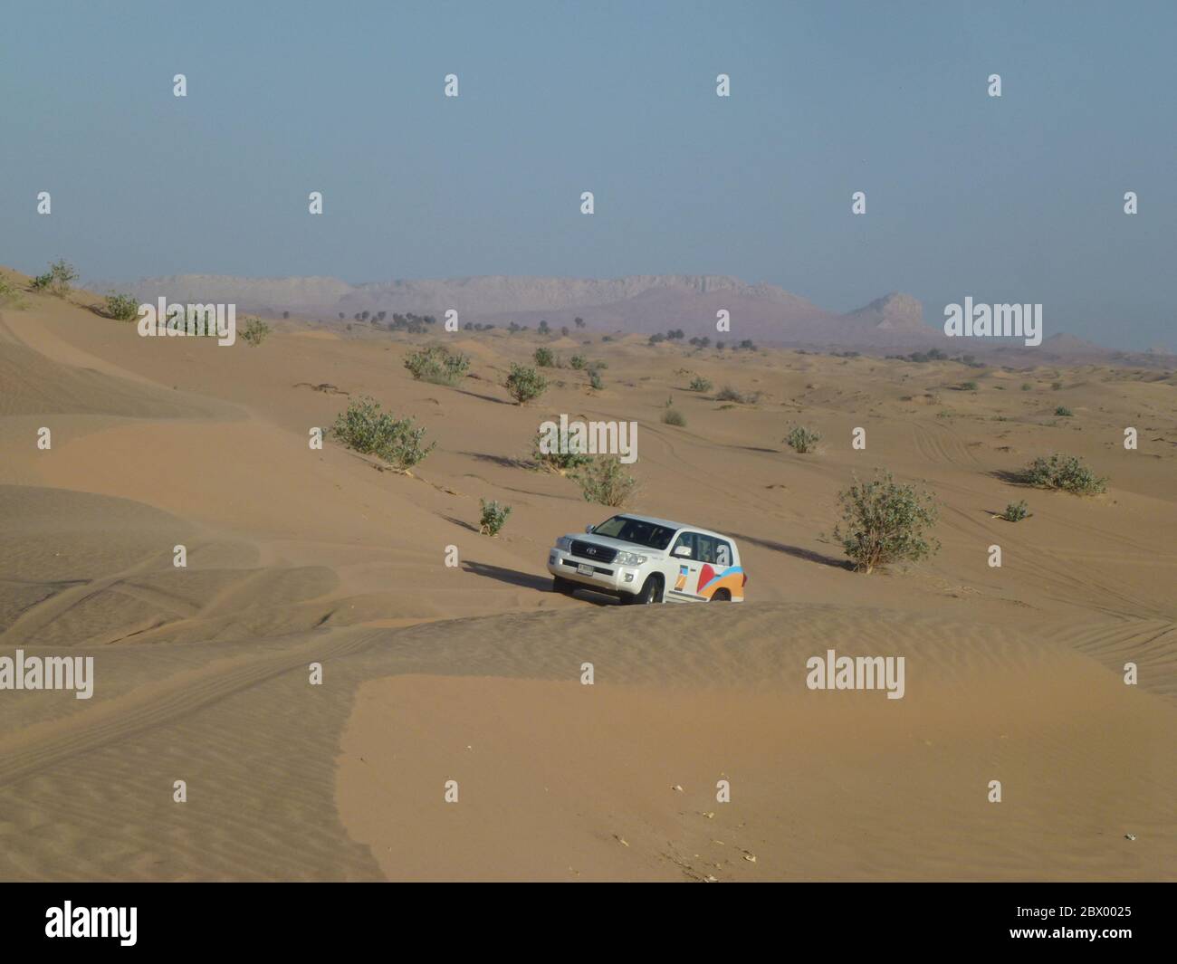 Camel cart driver hi-res stock photography and images - Alamy
