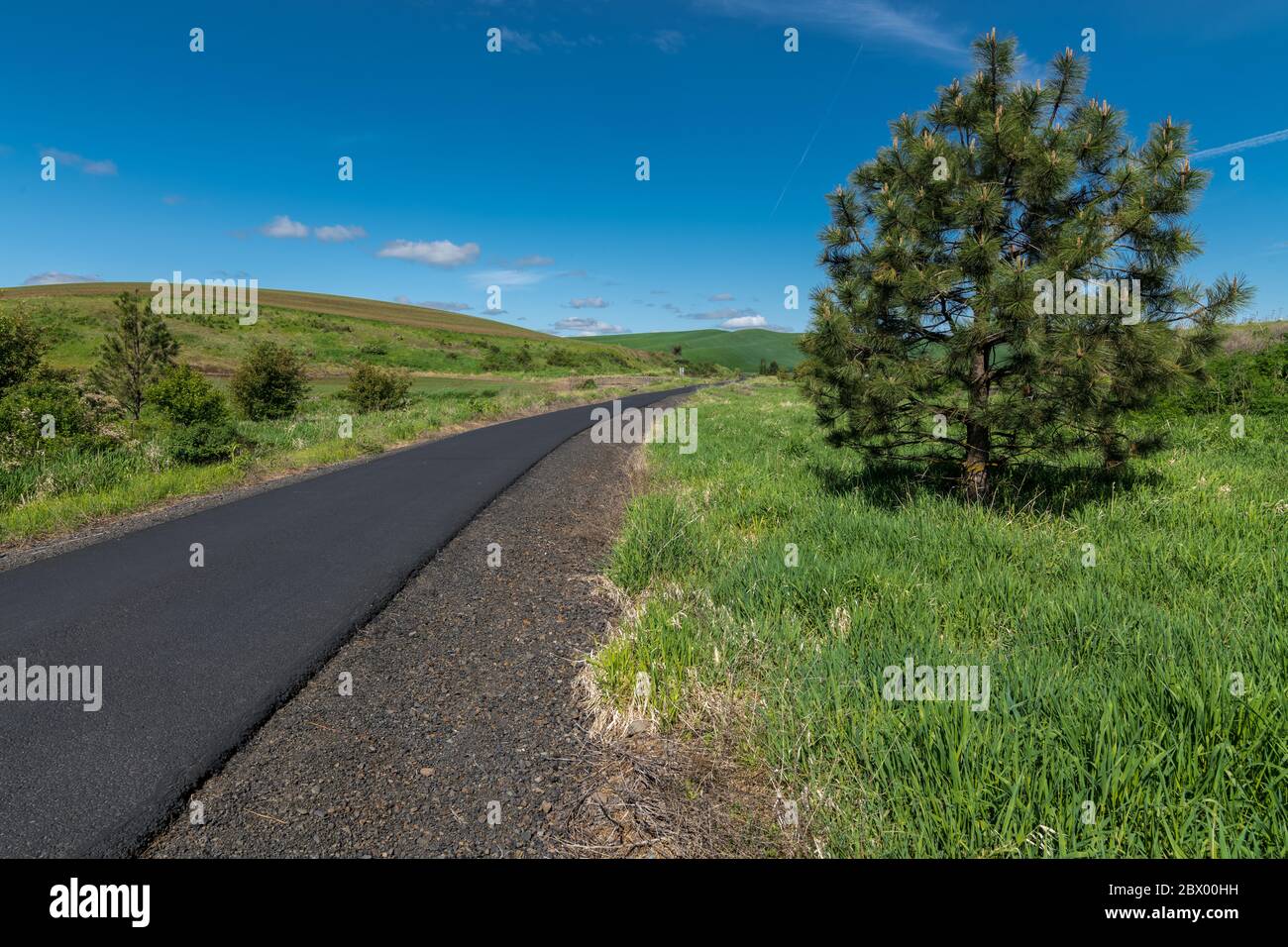Pullman washington bicycle hi-res stock photography and images - Alamy