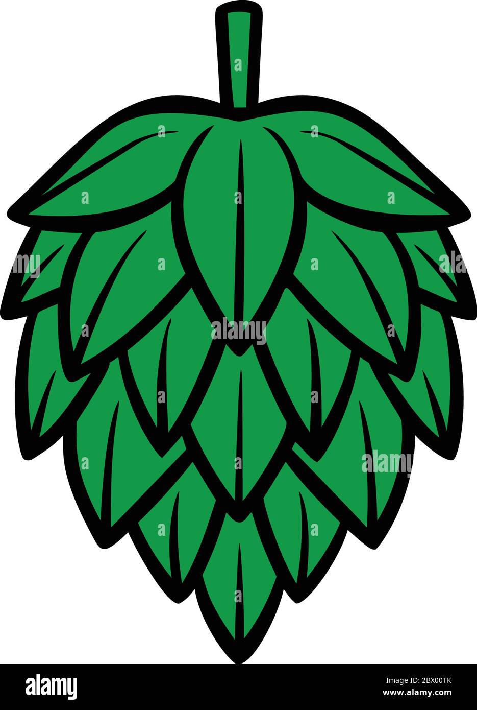 Hop Graphic- An Illustration of a Hop Graphic Stock Vector Image & Art ...