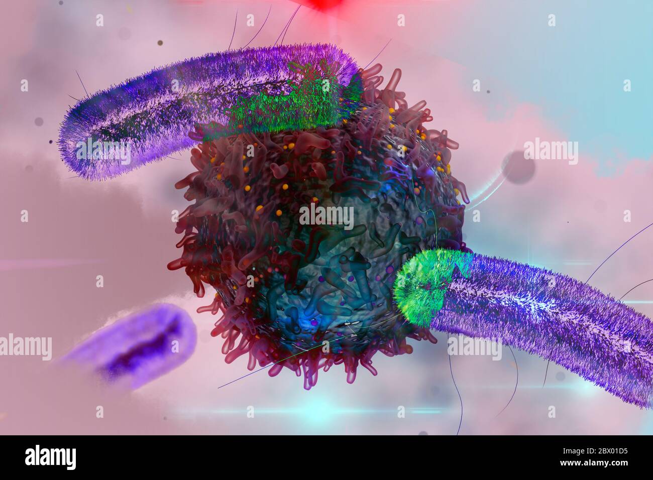 Human lymphocyte microscope hi-res stock photography and images - Alamy