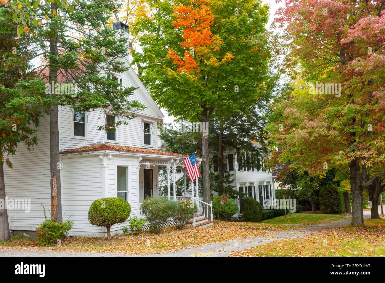 Wooded suburb hi-res stock photography and images - Alamy
