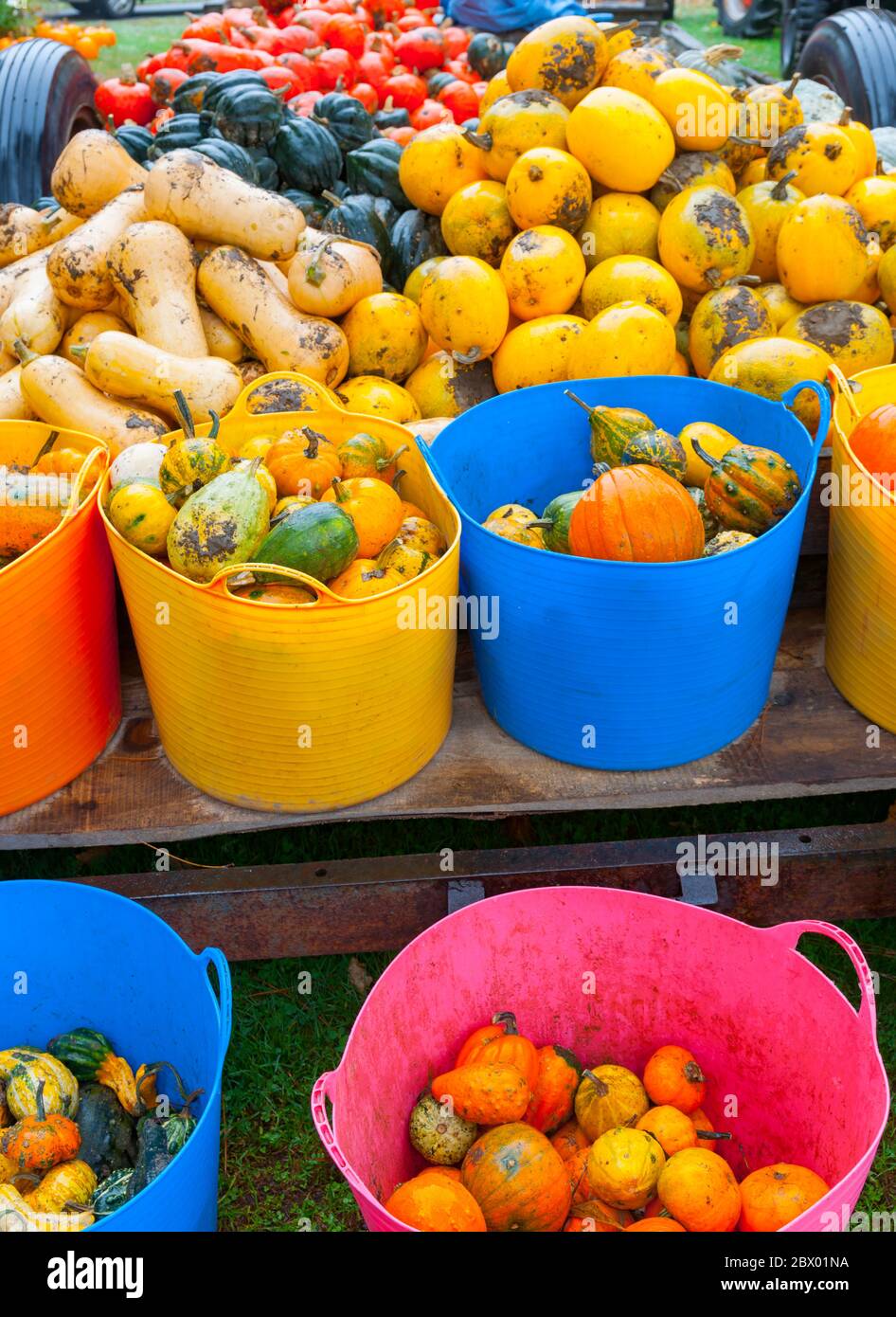 Raining buckets hi-res stock photography and images - Alamy