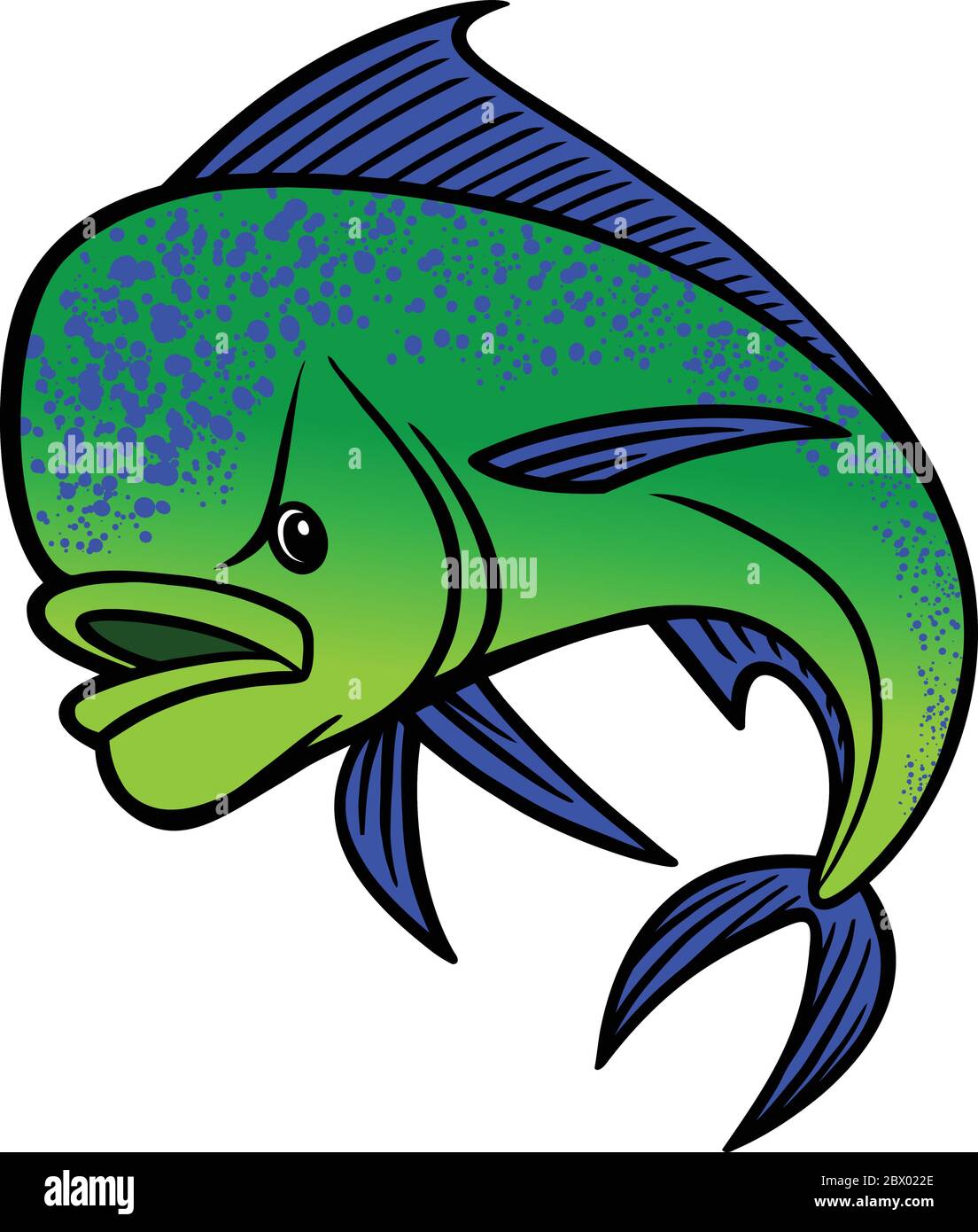 Mahi Mahi Cartoon- A Cartoon Illustration of a Mahi Mahi Fish Stock ...