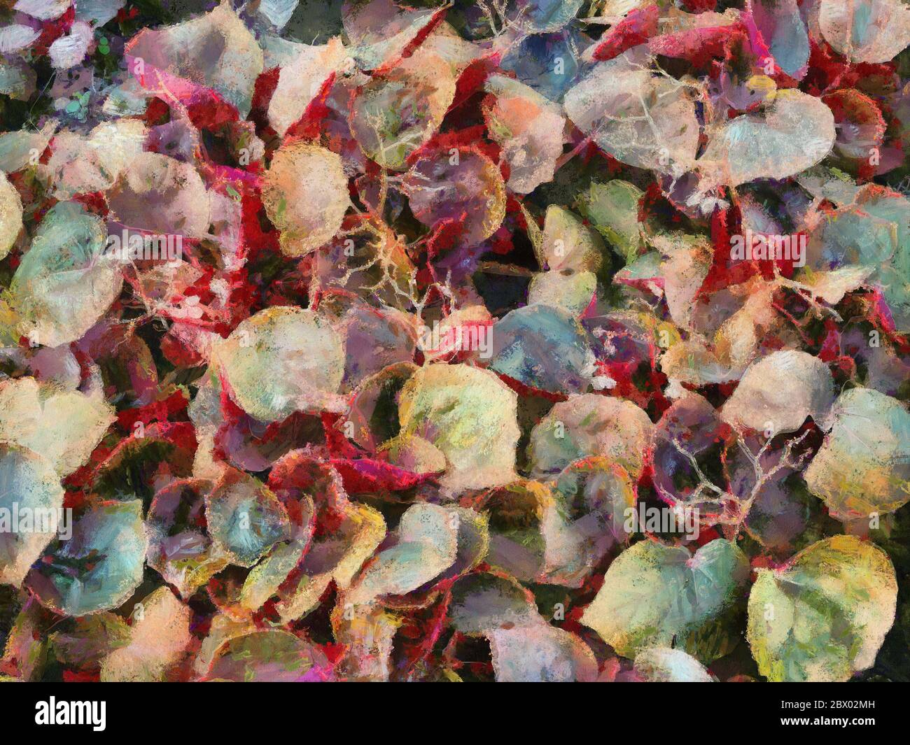 Ivy on the ground with beautiful leaves and beautiful colors ...