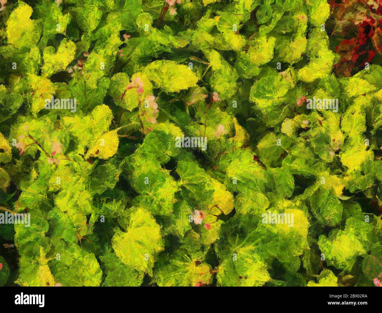 Ivy on the ground with beautiful leaves and beautiful colors ...
