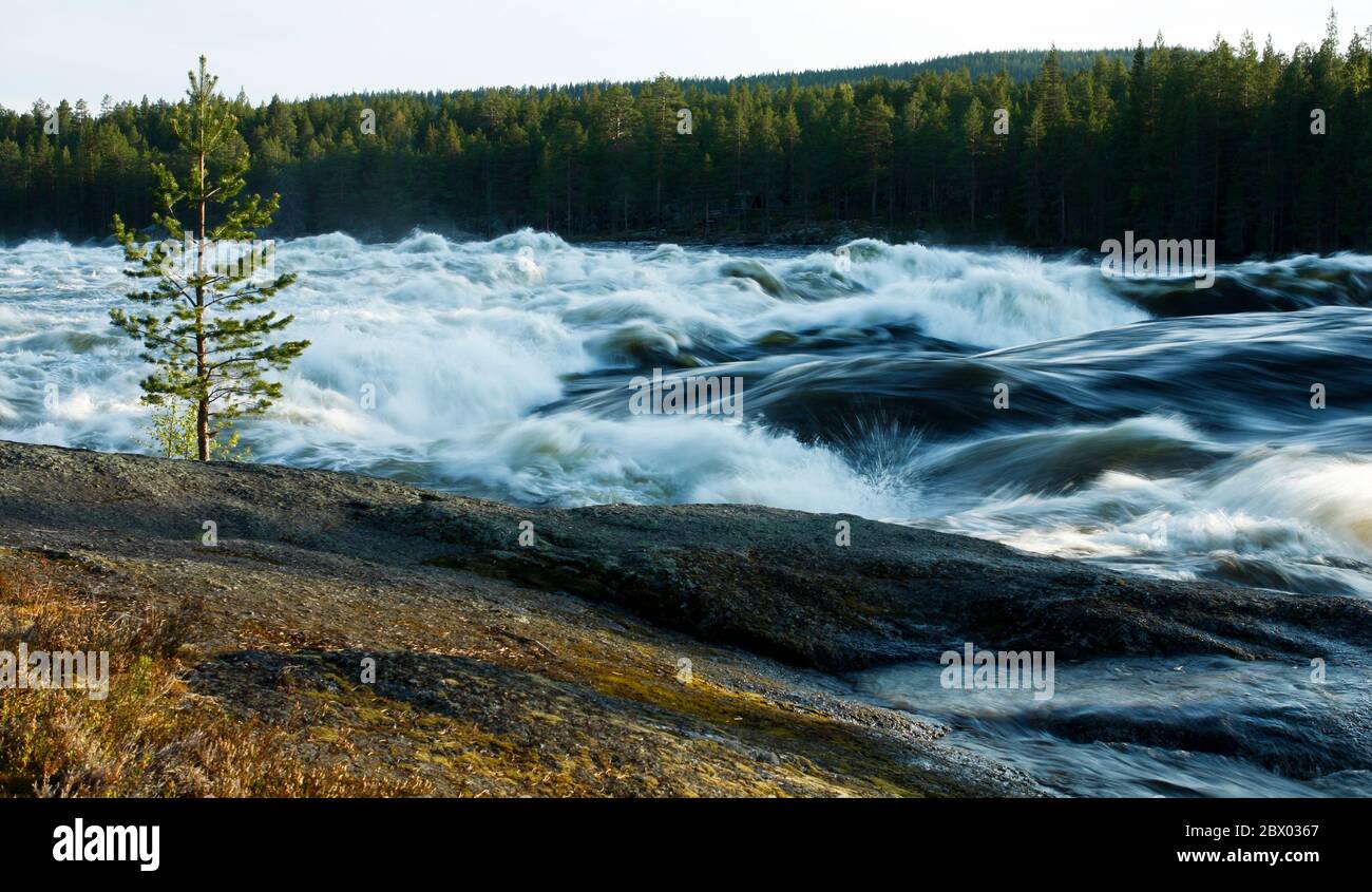 Big roar in the Spring Flood. Powerful Spring Flood drops melting snow ...