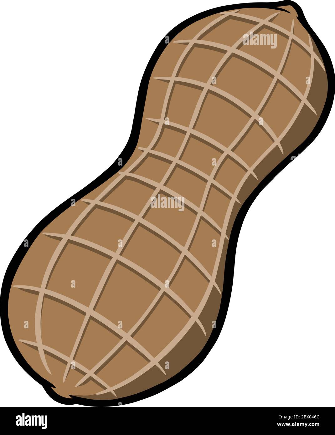 Peanut- An Illustration of a Peanut Stock Vector Image & Art - Alamy