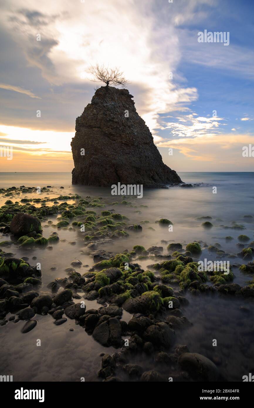 Green moss covered rocks boulders at Batu Luang, Kuala Penyu, Sabah ...