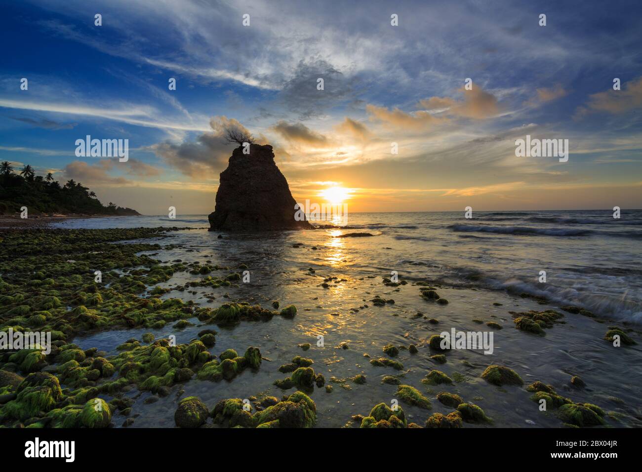 Green moss covered rocks boulders at Batu Luang, Kuala Penyu, Sabah ...
