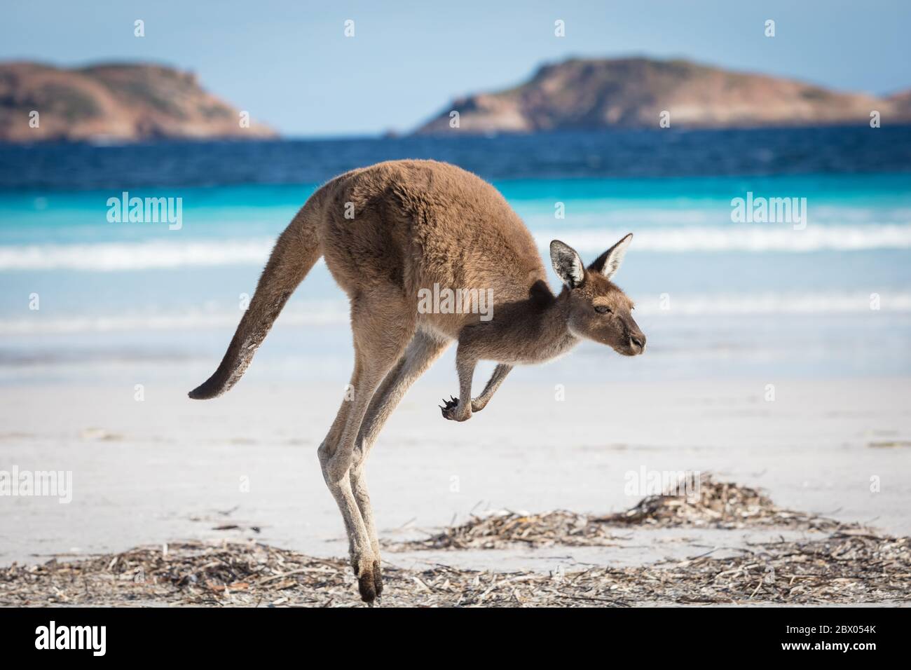 Hopping along hi-res stock photography and images - Alamy
