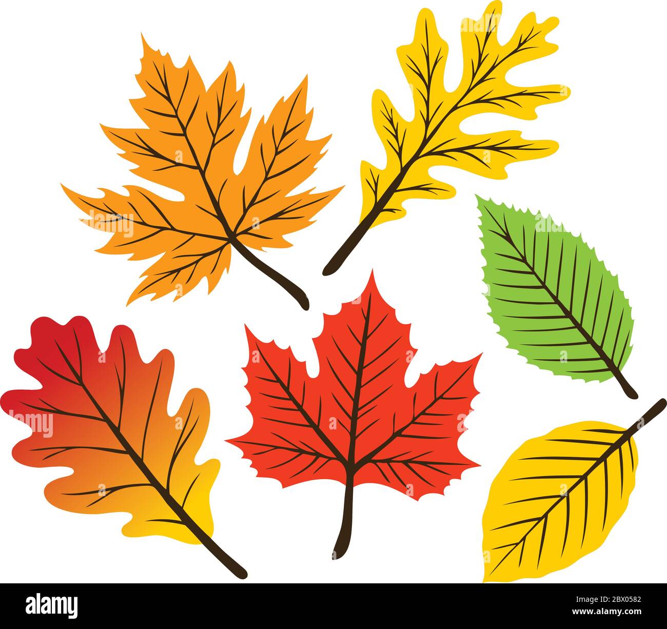 Retro Leaf Collection- An Illustration of a Retro Leaf Collection Stock ...