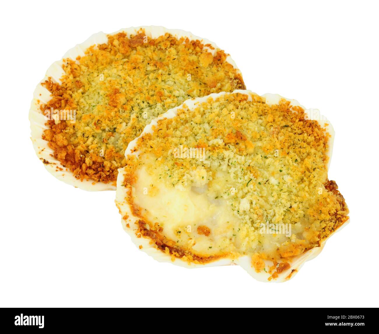 St jacques shell hi-res stock photography and images - Alamy