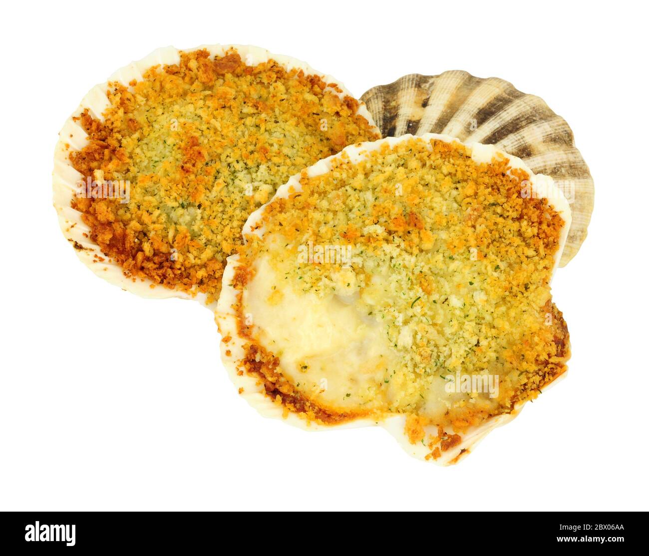 Coquille a hi-res stock photography and images - Alamy