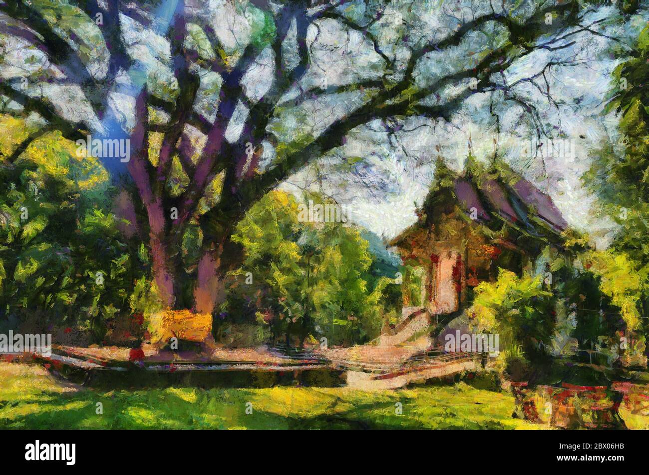 Large tree With branches spreading out wide With a beautiful branch ...