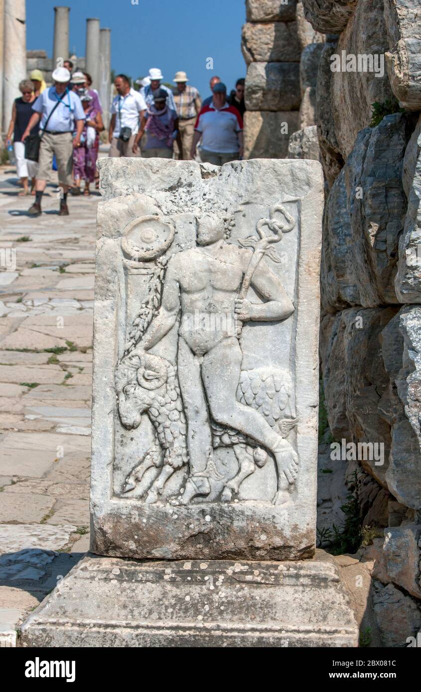 Ancient sheep hi-res stock photography and images - Alamy