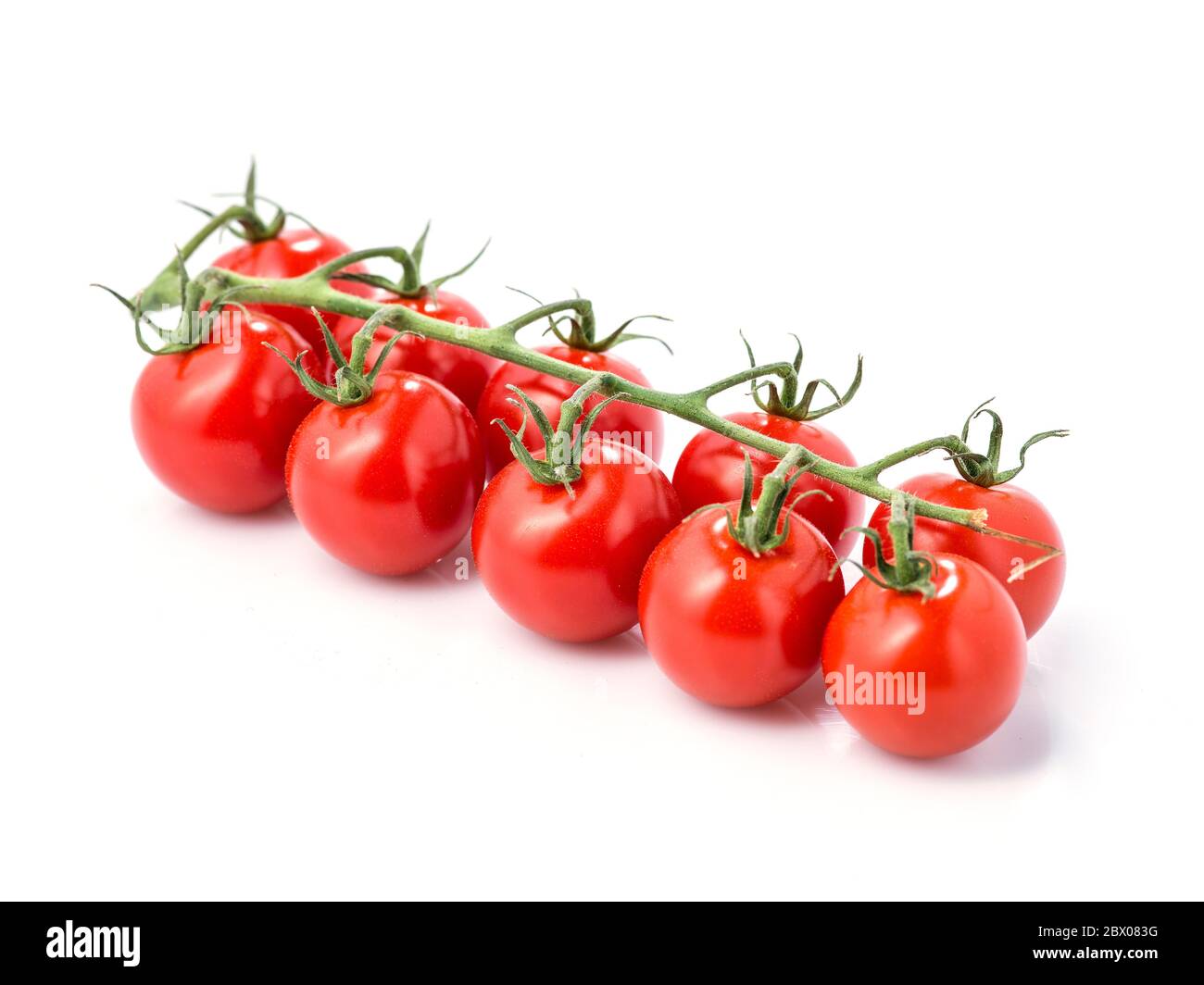 Tomato plant leaves close Cut Out Stock Images & Pictures - Alamy